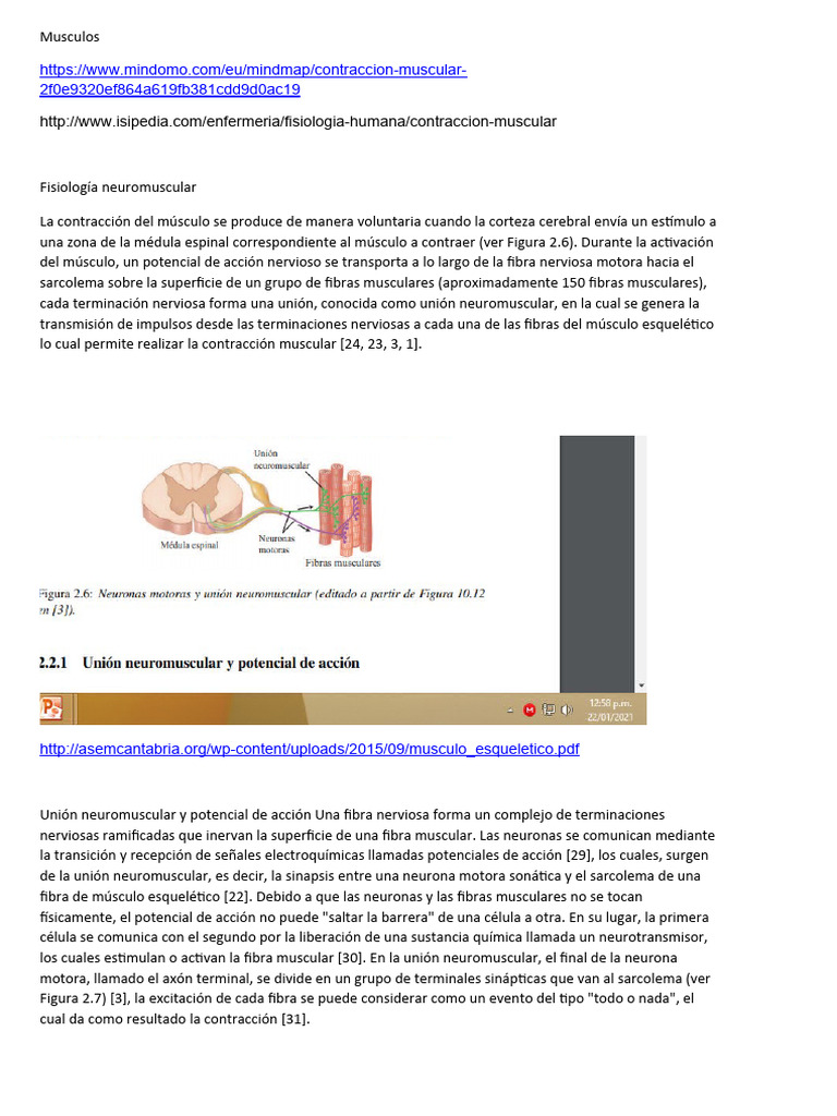 Efectos de La Posicion Sedente Sobre El Alineamiento de La Reg | PDF ...