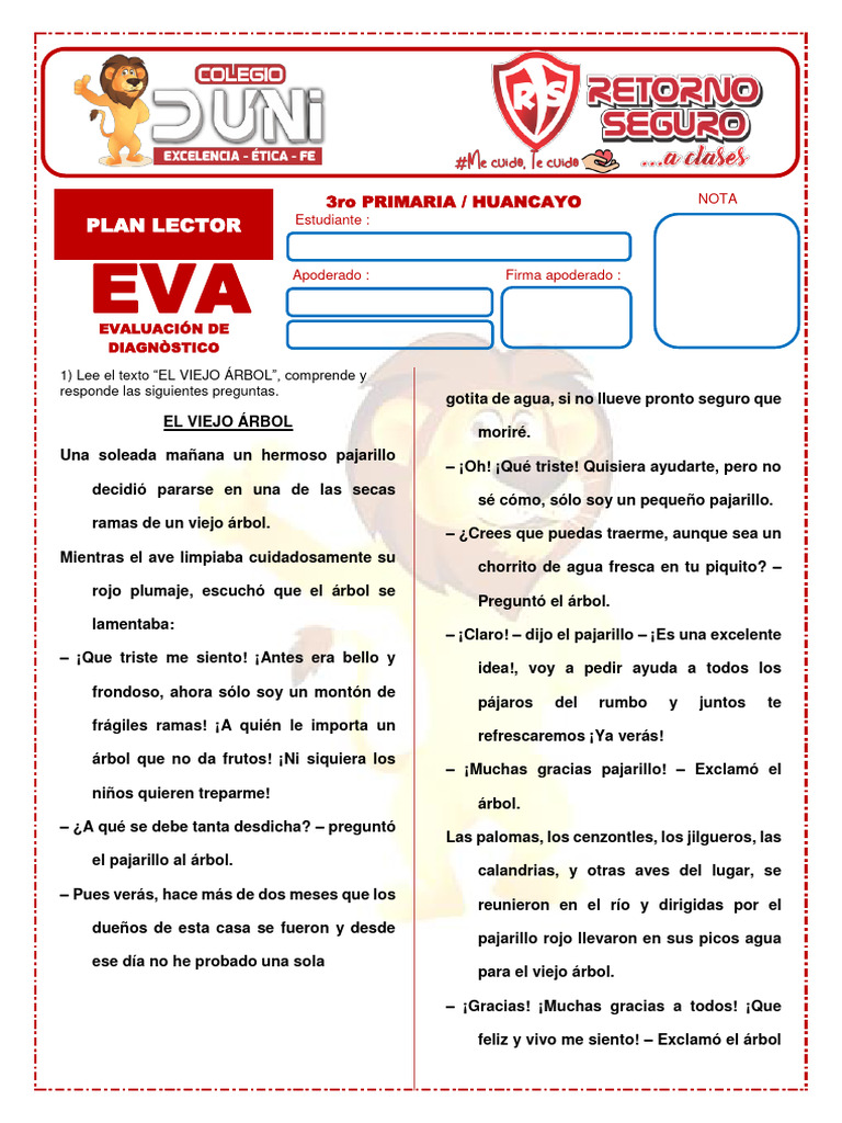 EVA DIAGNÓSTICO_ PRIM - 3°_ MIS YANINA_ PLAN LECTOR | PDF