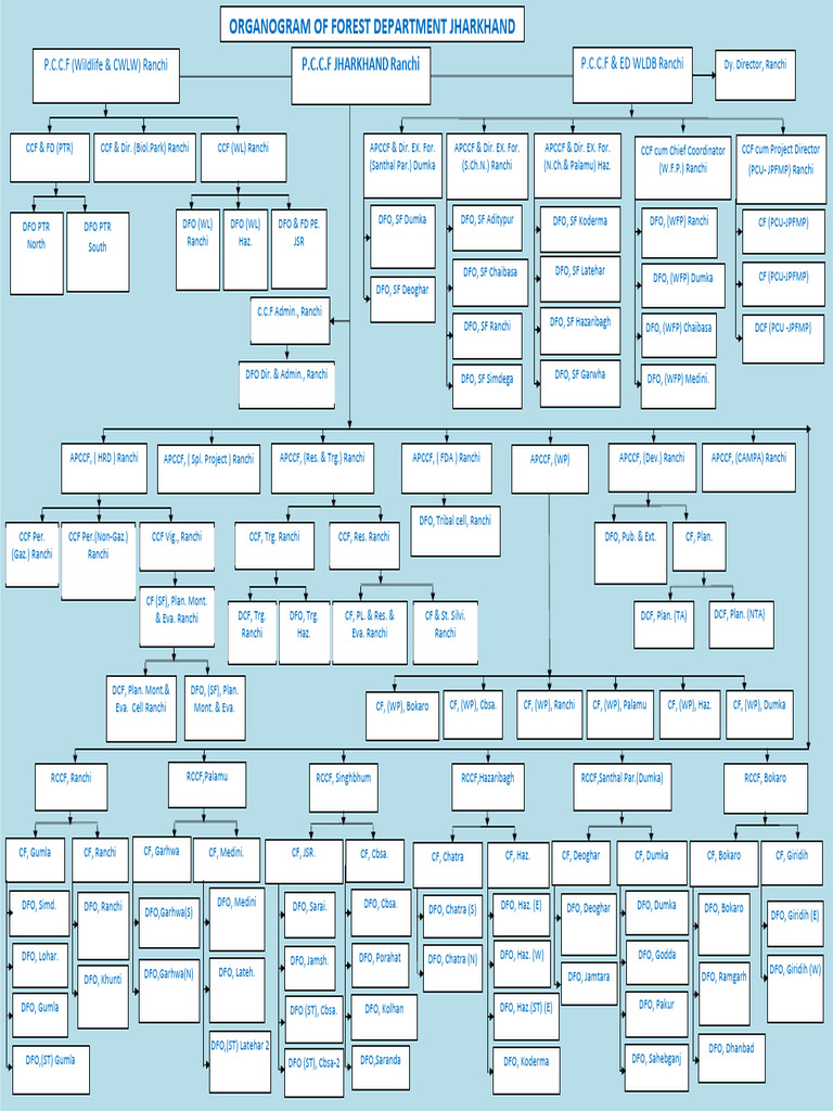 Organisational Structure | PDF