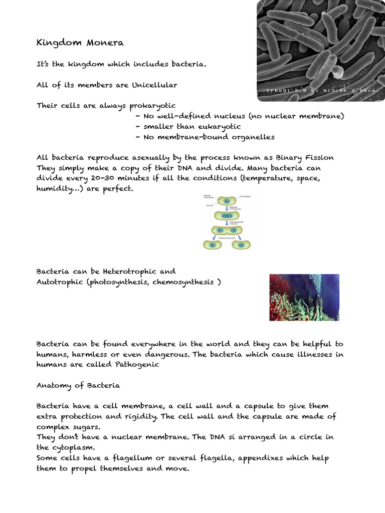 Overview of Kingdom Monera and Bacteria | PDF | Wellness | Science ...