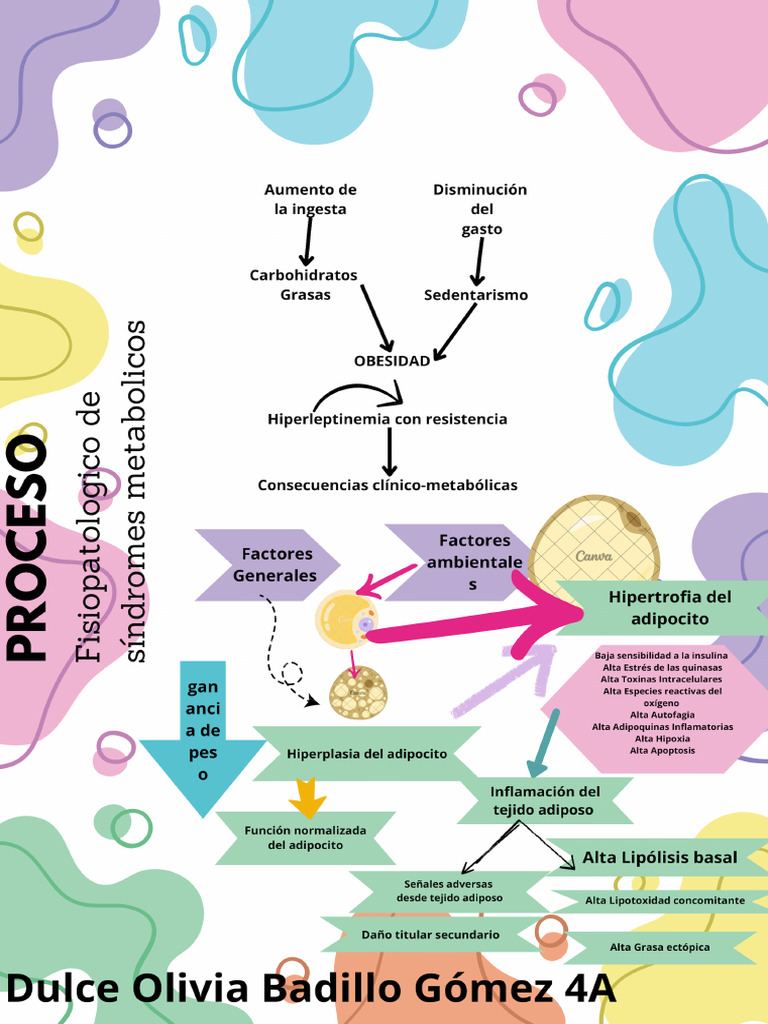 Documento A4 Gráfico de Proceso Cinco Pasos Moderno Infográfico Multicolor.pdf | PDF
