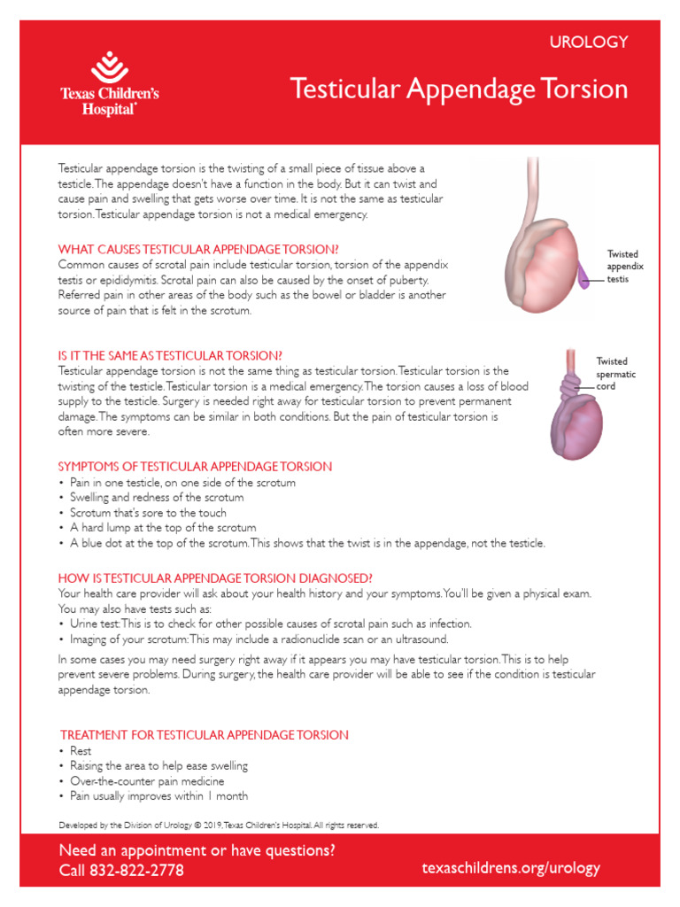 Torsión del Apéndice Testicular | PDF | Enfermedades y trastornos ...