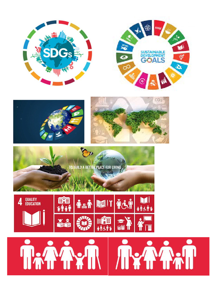 SDG Print | PDF