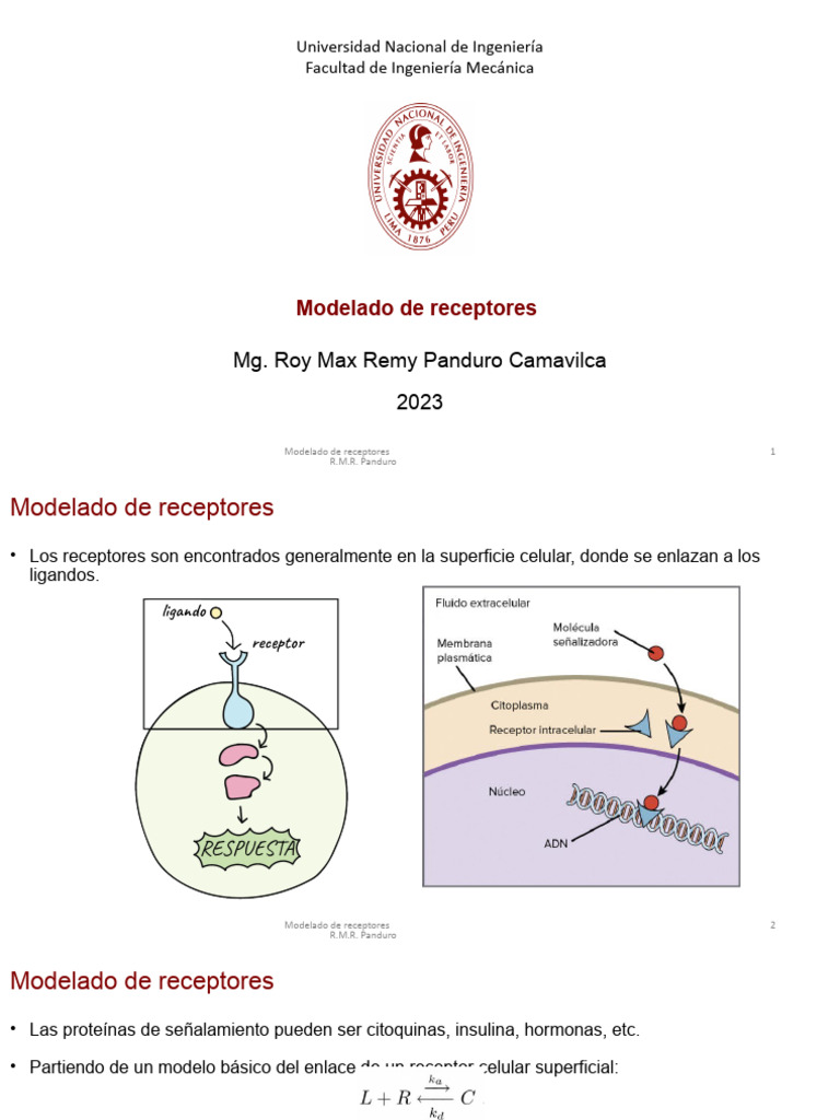 Modelado de Receptores Celulares | PDF | Receptor (Bioquímica) | Bioquímica