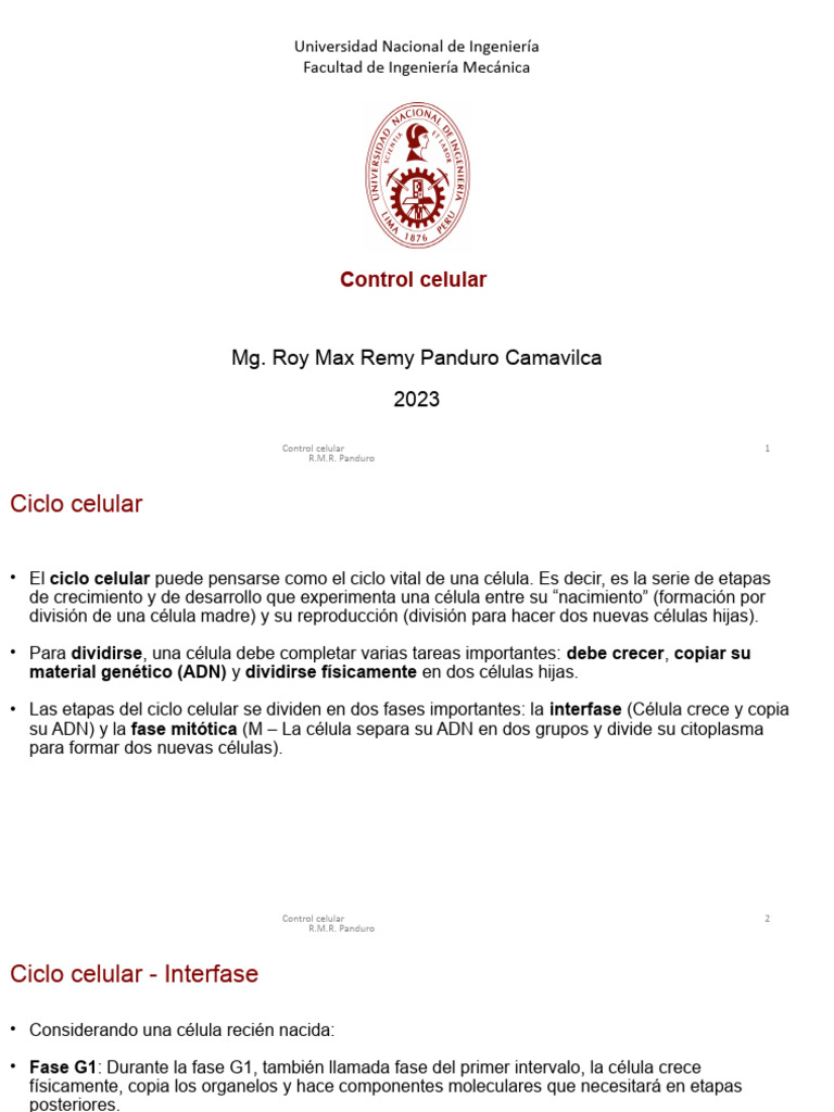 Control Celular | PDF | Mitosis | Biología Celular