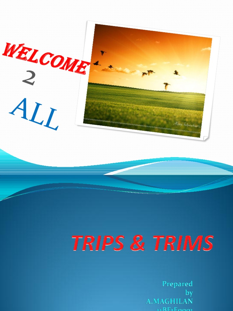 Trips & Trims | PDF | Trips Agreement | Intellectual Property