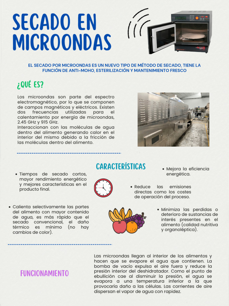 Secado en Microondas | PDF | Microondas | Agua