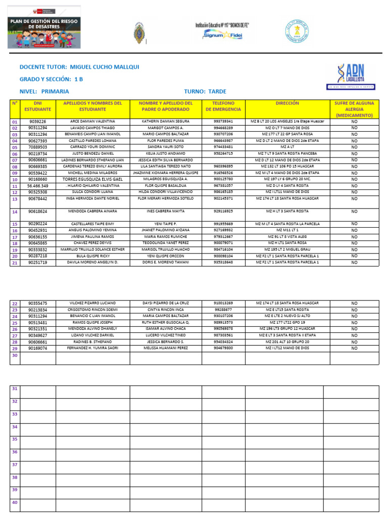 Formato de Padron | PDF