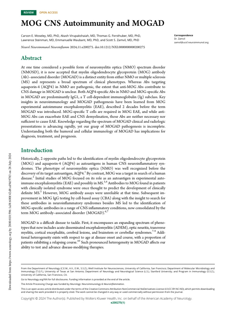 MOG CNS Autoimmunity and MOGAD | PDF | T Cell | Antigen