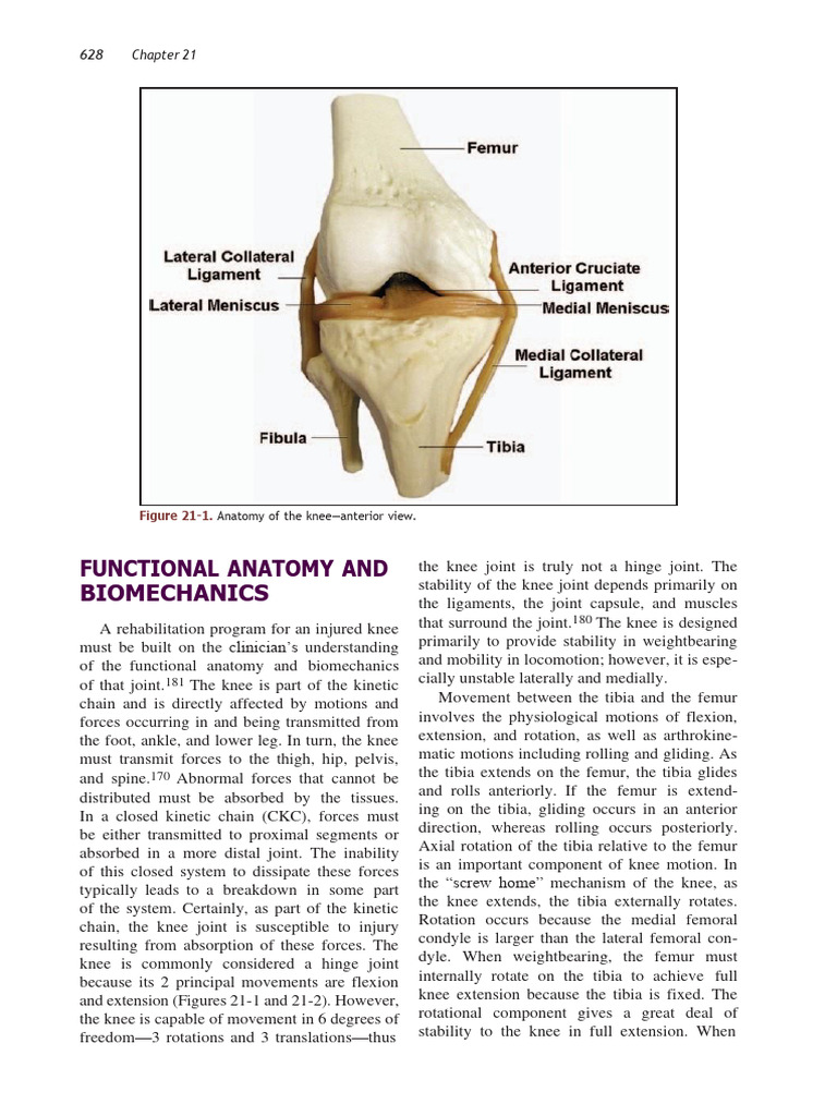 Functional Anatomy and Biomechanics - Knee | PDF | Knee | Joints