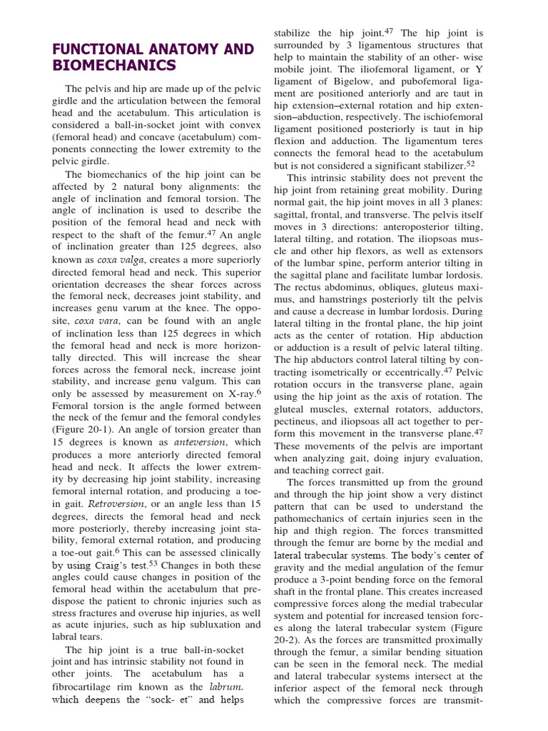 Functional Anatomy and Biomechanics - Groin, Hip, and Thigh | PDF | Hip ...