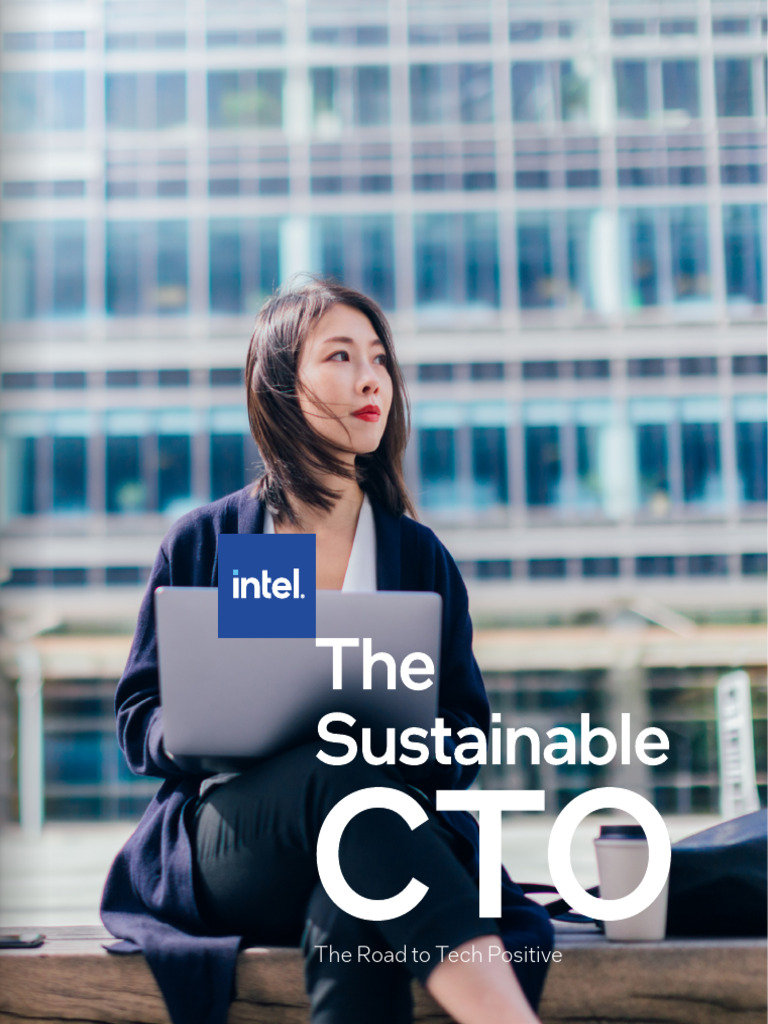 The Sustainable Cto Full Report | PDF | Sustainability | Innovation