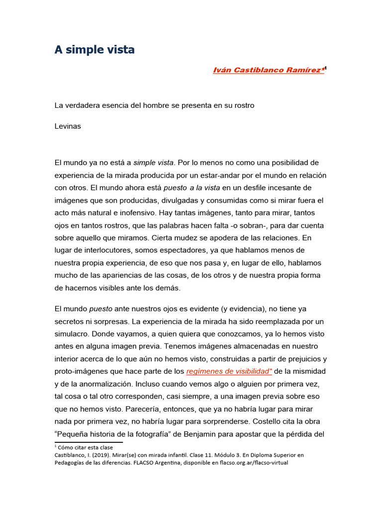 CLASE 11 A Simple Vista CASTIBLANCO | PDF | Experiencia | Humano