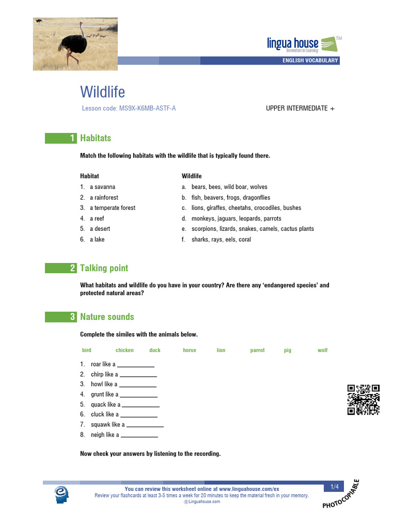 Wildlife | PDF | Predation | Zoology