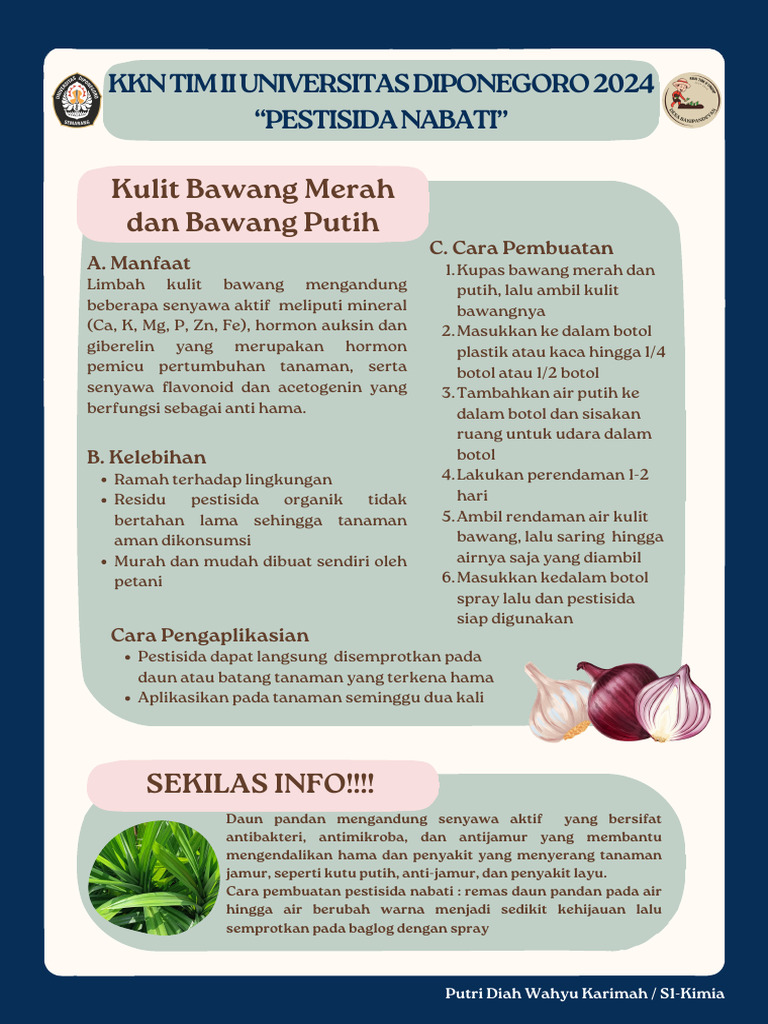 KKN TIM II UNIVERSITAS DIPONEGORO 2024 | PDF