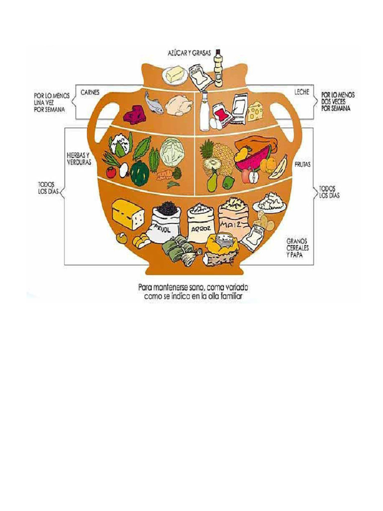 Olla Alimenticia | PDF