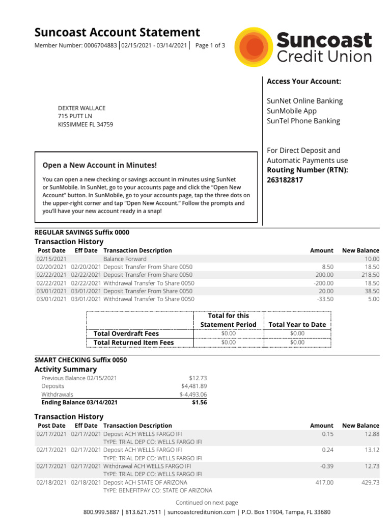 Suncoast Account Statement: Access Your Account: Sunnet Online Banking ...