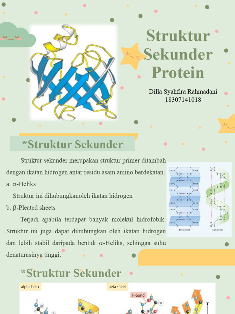 Protein Sekunder - Dilla Syahfira Rahmadani - 18307141018 | PDF