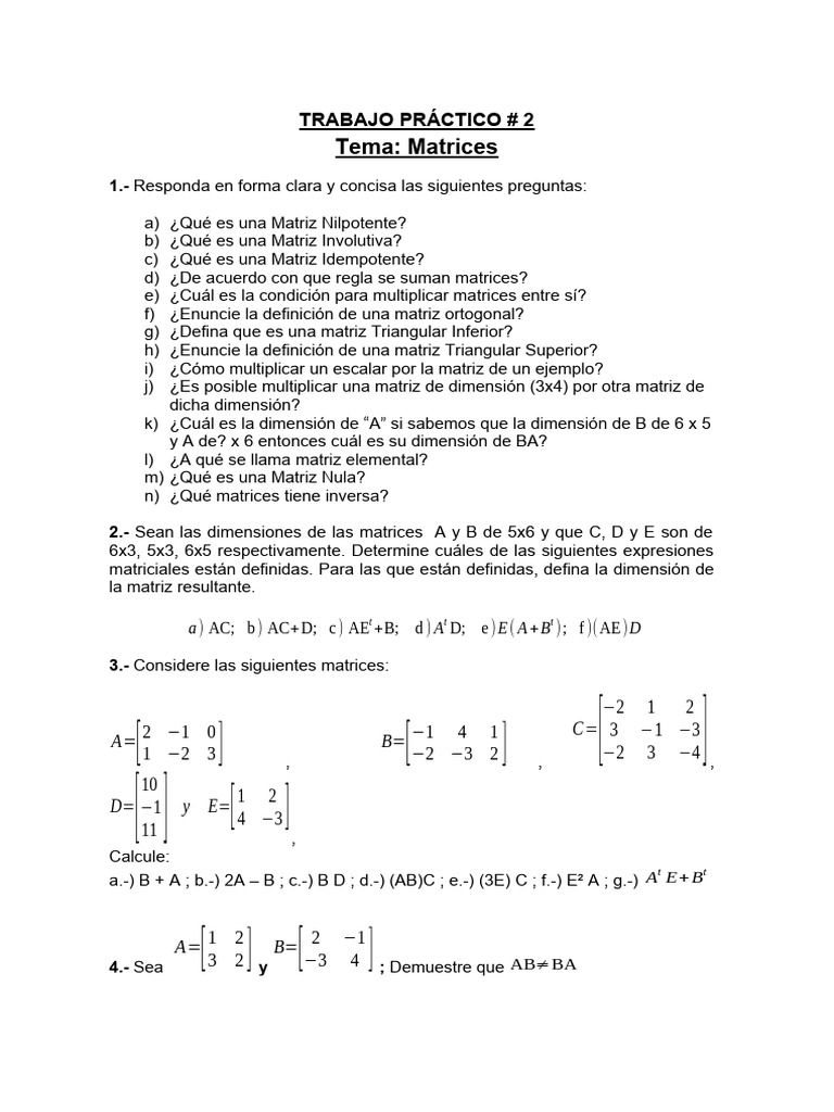 TRABAJO PRÁCTICO Algebra | PDF | Matriz (Matemáticas) | Ecuaciones
