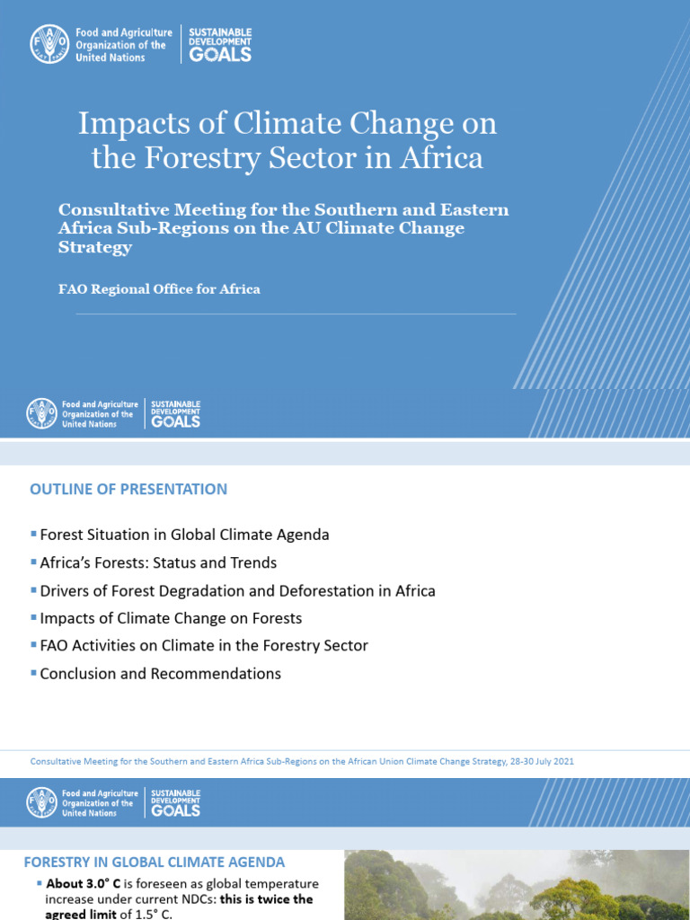 Impacts of Climate Change On The Forestry Sector in Africa - Zipora Otieno, FAO | PDF | Climate ...
