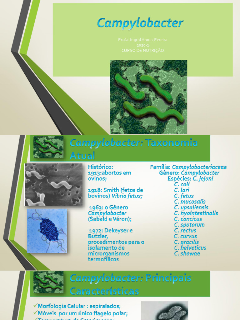 Aula Tema 9-Campylobacter | PDF | Célula (Biologia) | Receptor (Bioquímica)