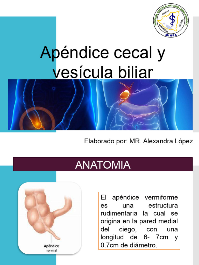 Apendicitis Aguda y Vesícula Biliar | PDF | Vesícula biliar | Bilis