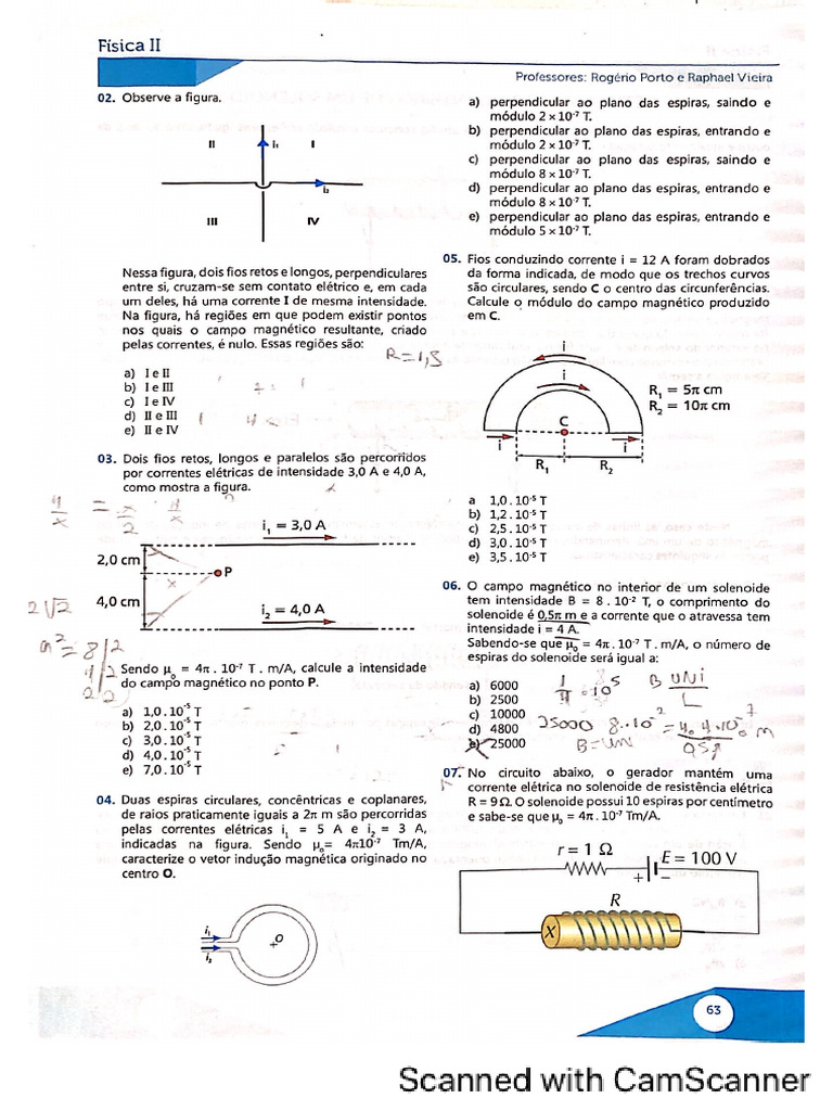 Magnetismo (Força:campo:indução) | PDF