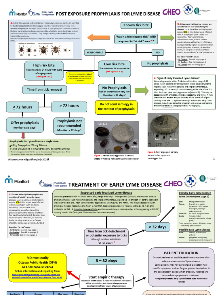 Ottawa Algorithm For Lyme Disease | PDF | Lyme Disease | Epidemiology