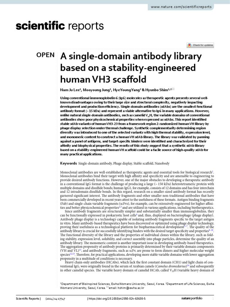 Stability-Engineered Human VH3 Scaffold | PDF | Antibody | Molecular ...