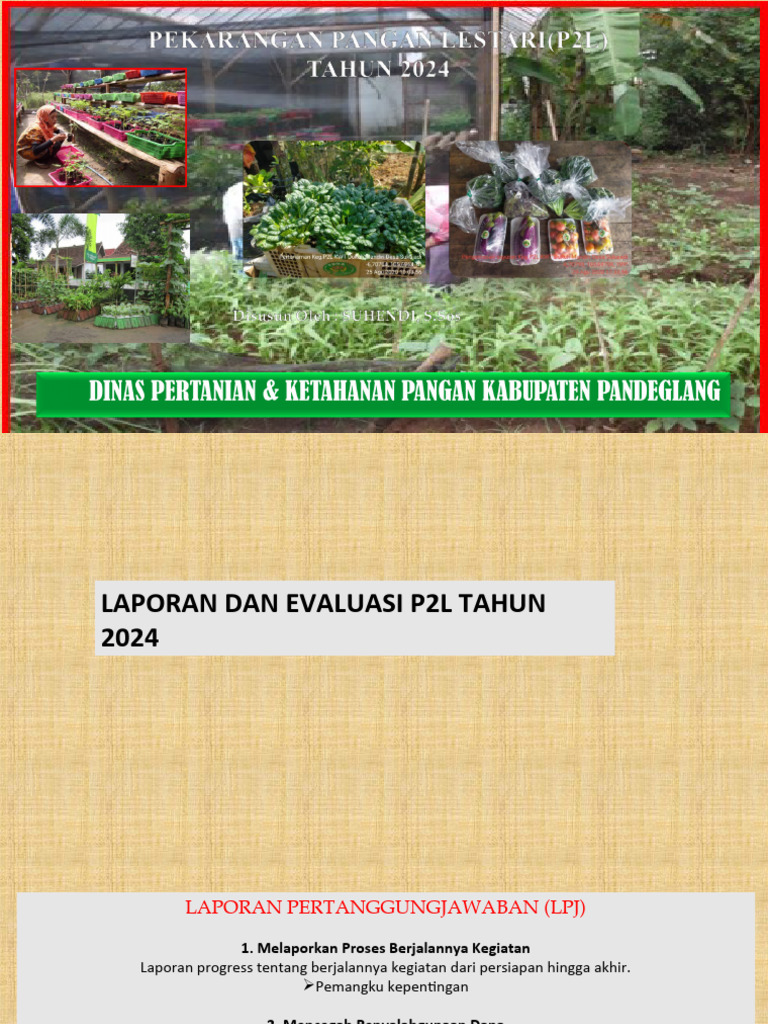 Evaluasi P2L 2024: Laporan dan Rencana | PDF