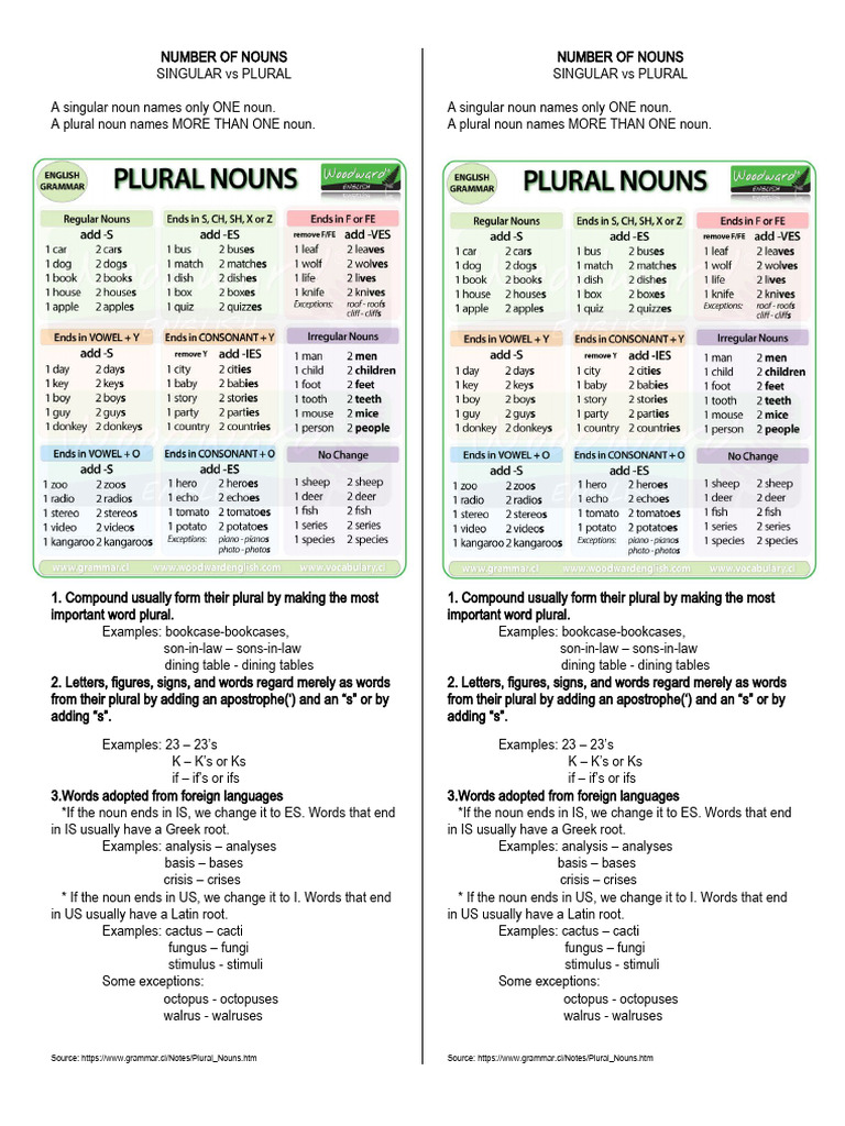 Singular vs Plural Nouns Explained | PDF | Plural | Word