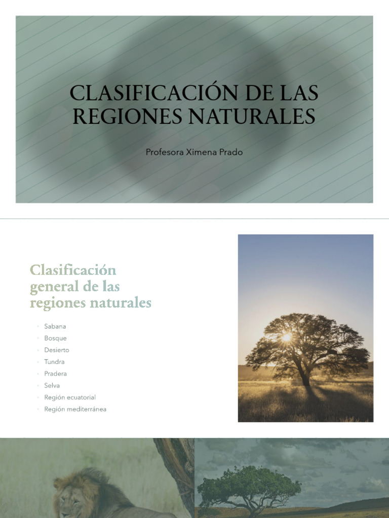 Regiones Naturales | PDF | Los bosques | Desierto
