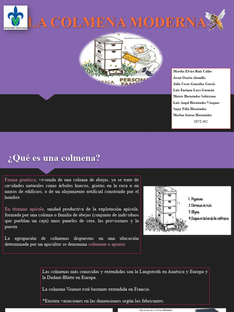 Colmena Moderna | PDF | Colmena | Apicultura