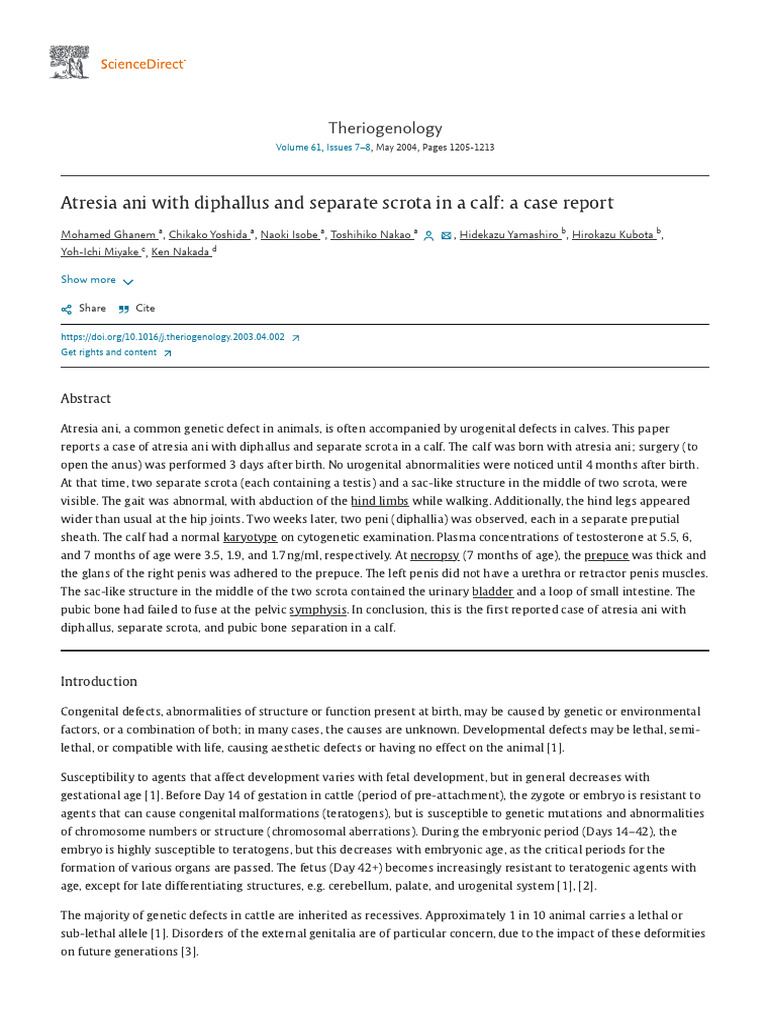 Atresia Ani With Diphallus and Separate Scrota in A Calf - A Case ...