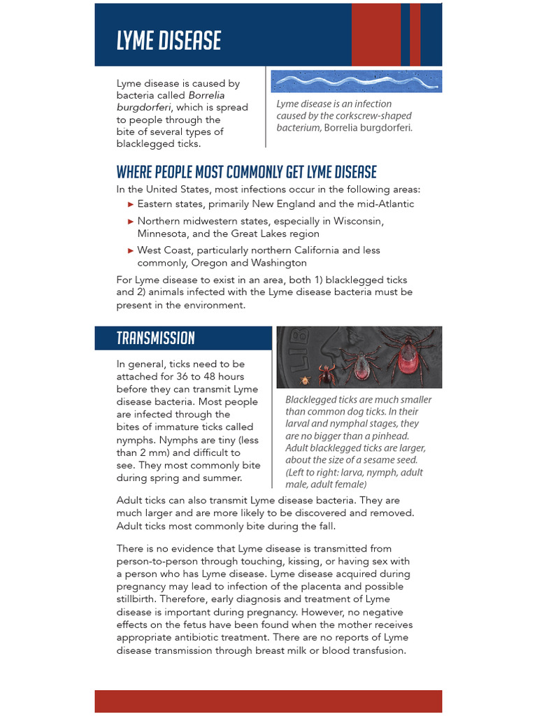 Lyme Disease_ What you need to know | PDF | Lyme Disease | Clinical Medicine