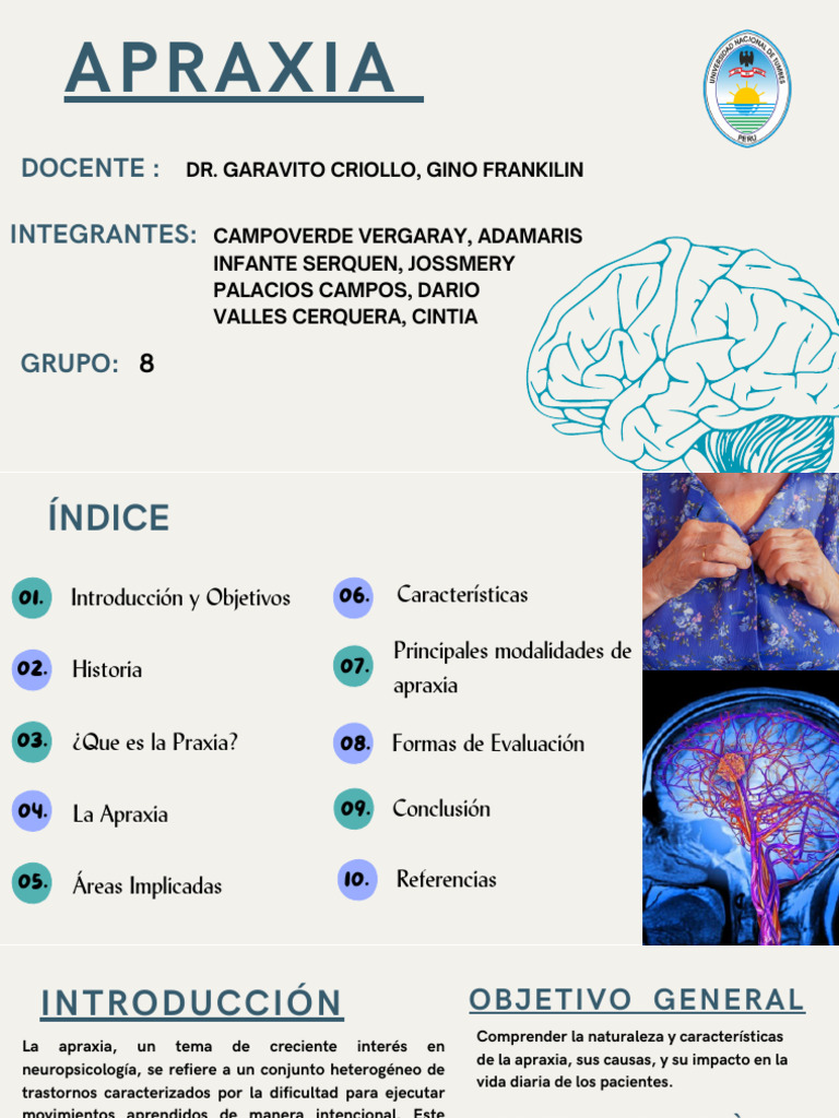 G8 Apraxia | PDF | Hemisferio cerebral | Percepción visual