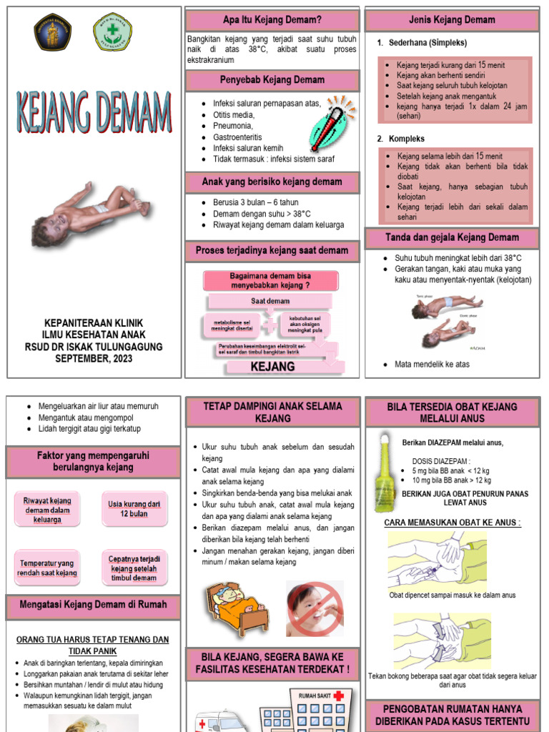 Leaflet Kejang Demam | PDF