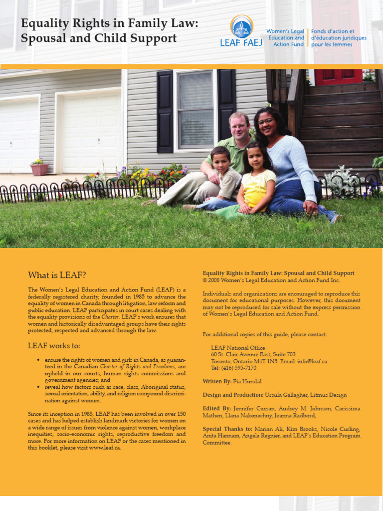 Family Law Book | PDF | Child Support | Alimony