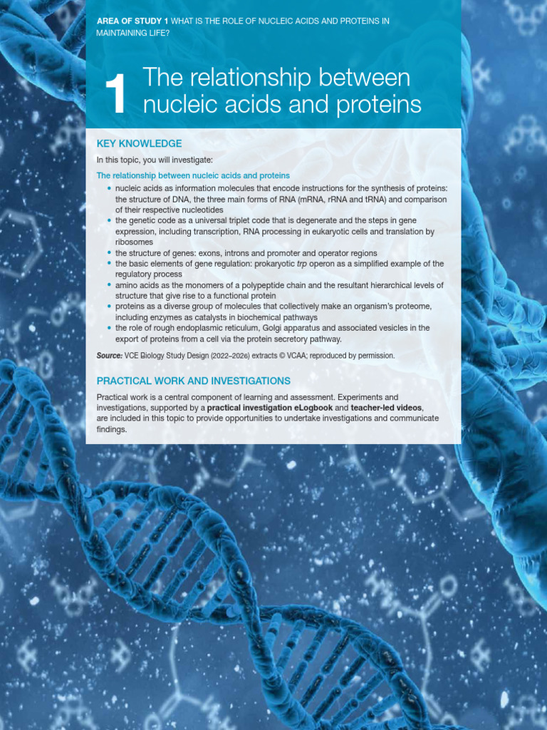 The Relationship Between Nucleic Acids and Proteins: Key Knowledge ...