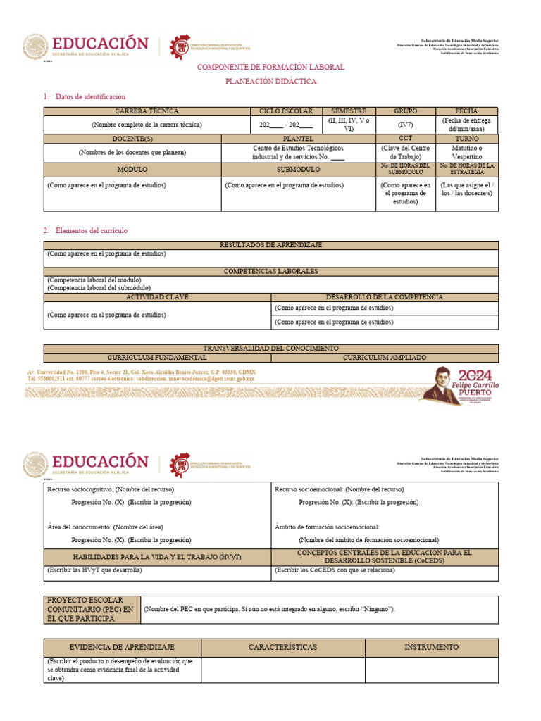 Formato DGETI PD_CFL | PDF | Evaluación | Plan de estudios