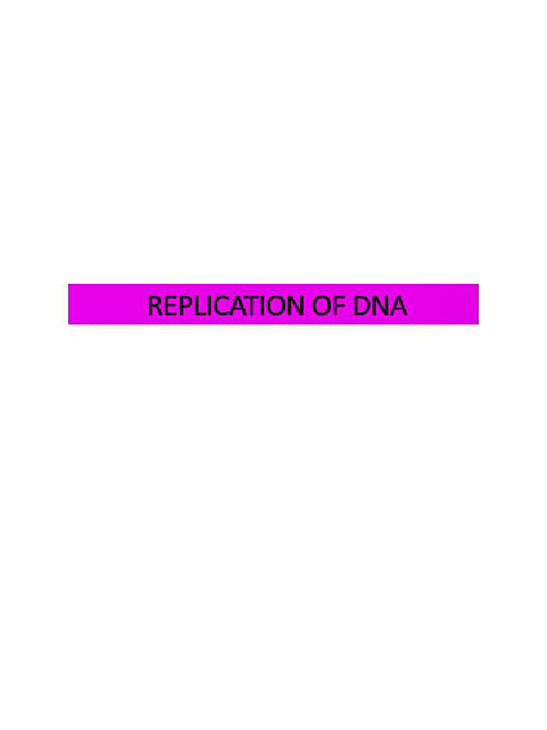 DNA Replication | PDF