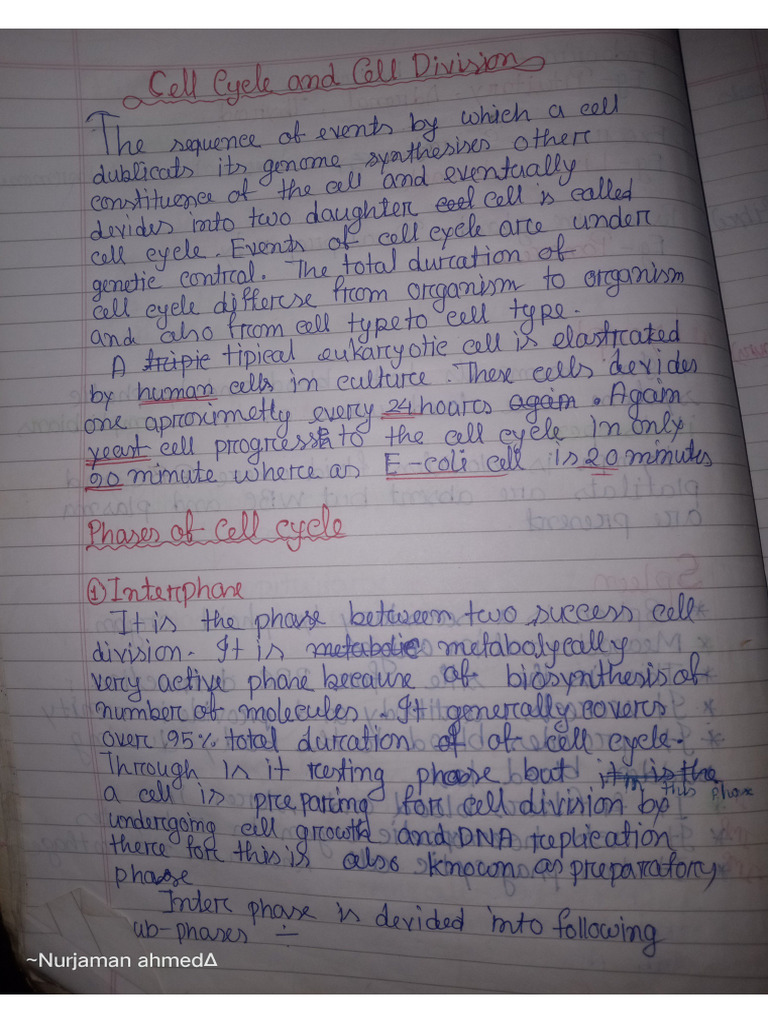 Cell Cycle Notes Pdf