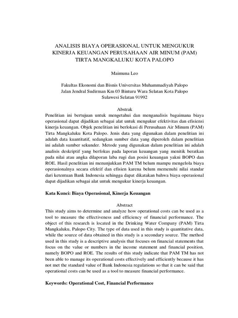 Analisis Biaya Operasional PAM Palopo | PDF