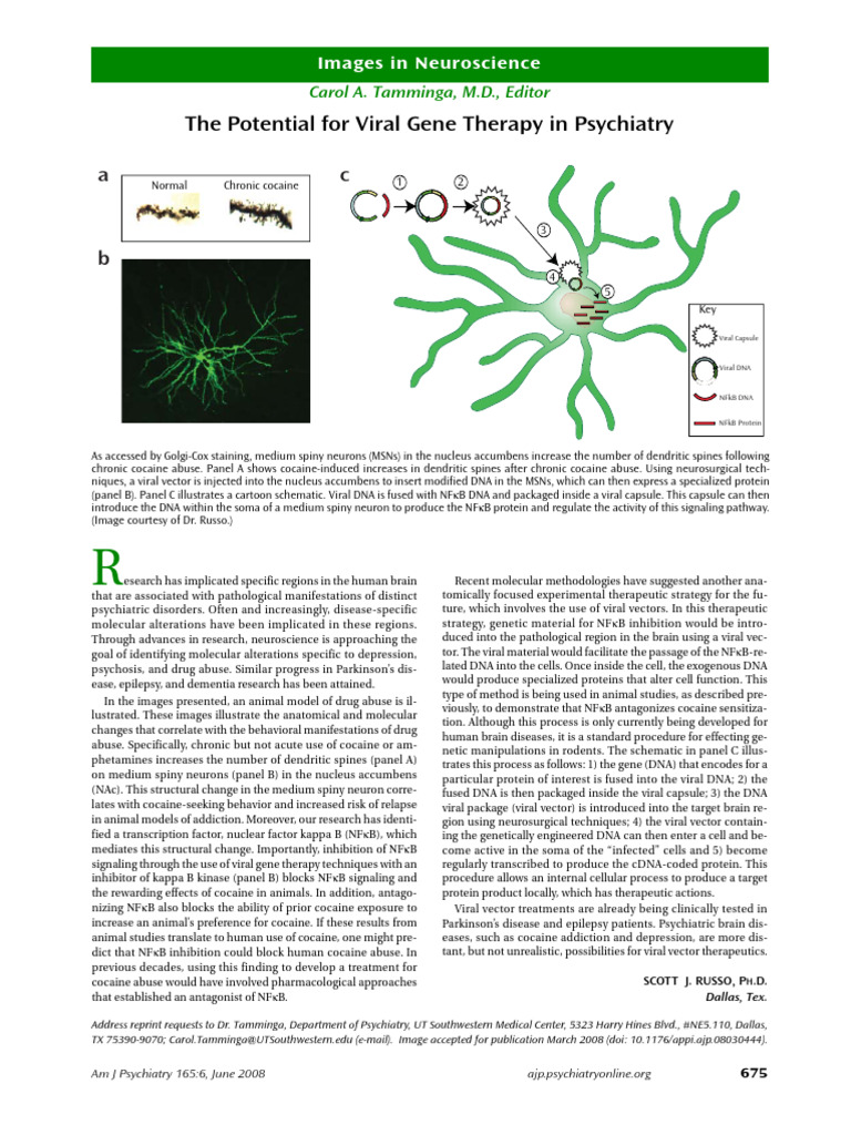 ,DanaInfo Ajp Psychiatryonline Org+675 | PDF | Nf κb | Neuron