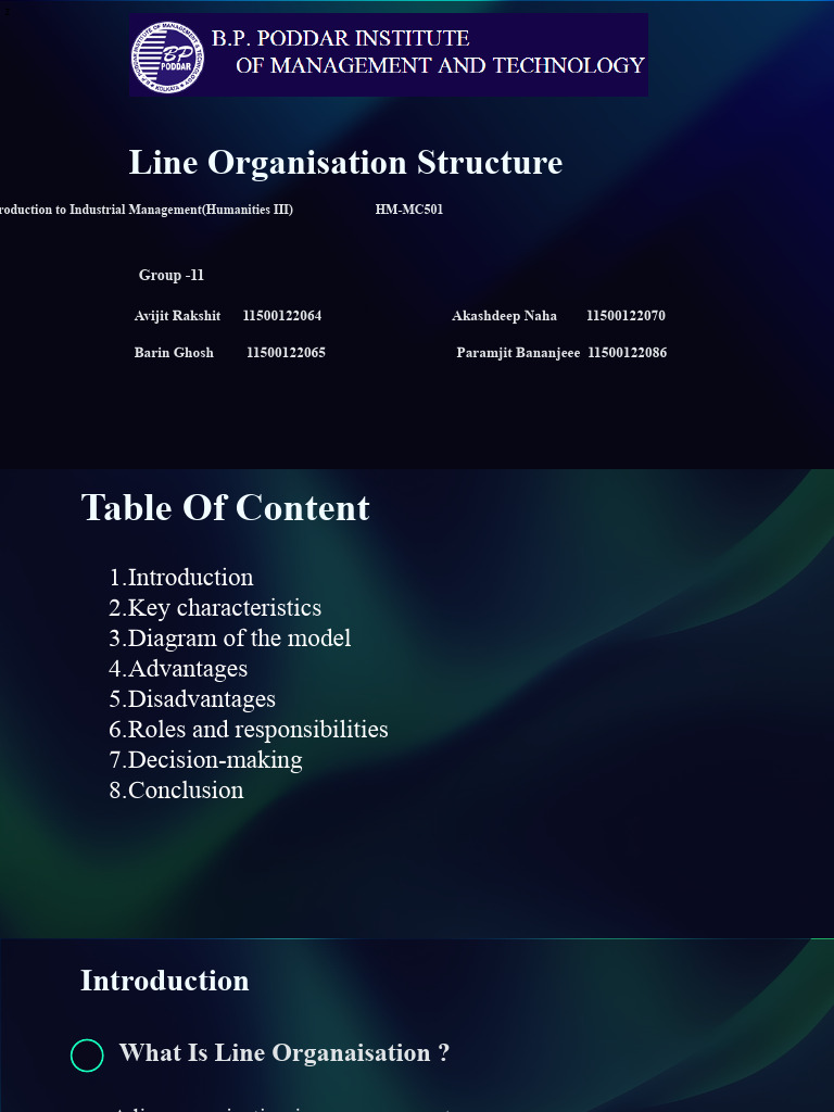 Line Organisation Structure | PDF | Decision Making | Hierarchy