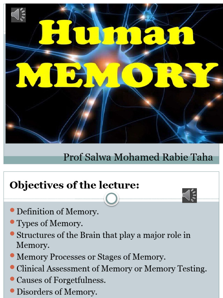 5 - Memory | PDF | Memory | Long Term Memory