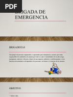 BRIGADA MULTIFUNCIONAL | PDF | Defensa Civil