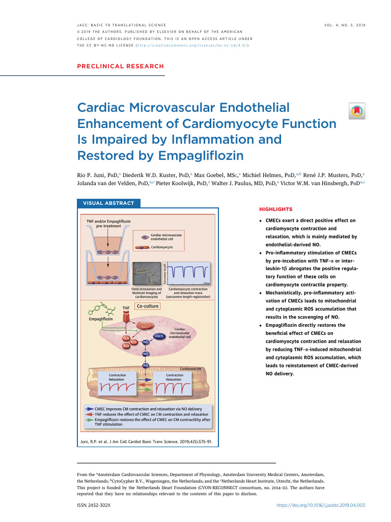 Juni Et Al 2019 Cardiac Microvascular Endothelial Enhancement of ...