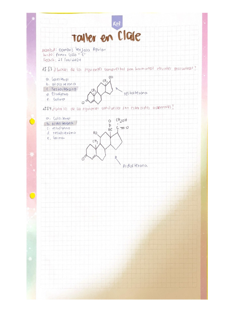 Tarea en Clase 01072024 | PDF