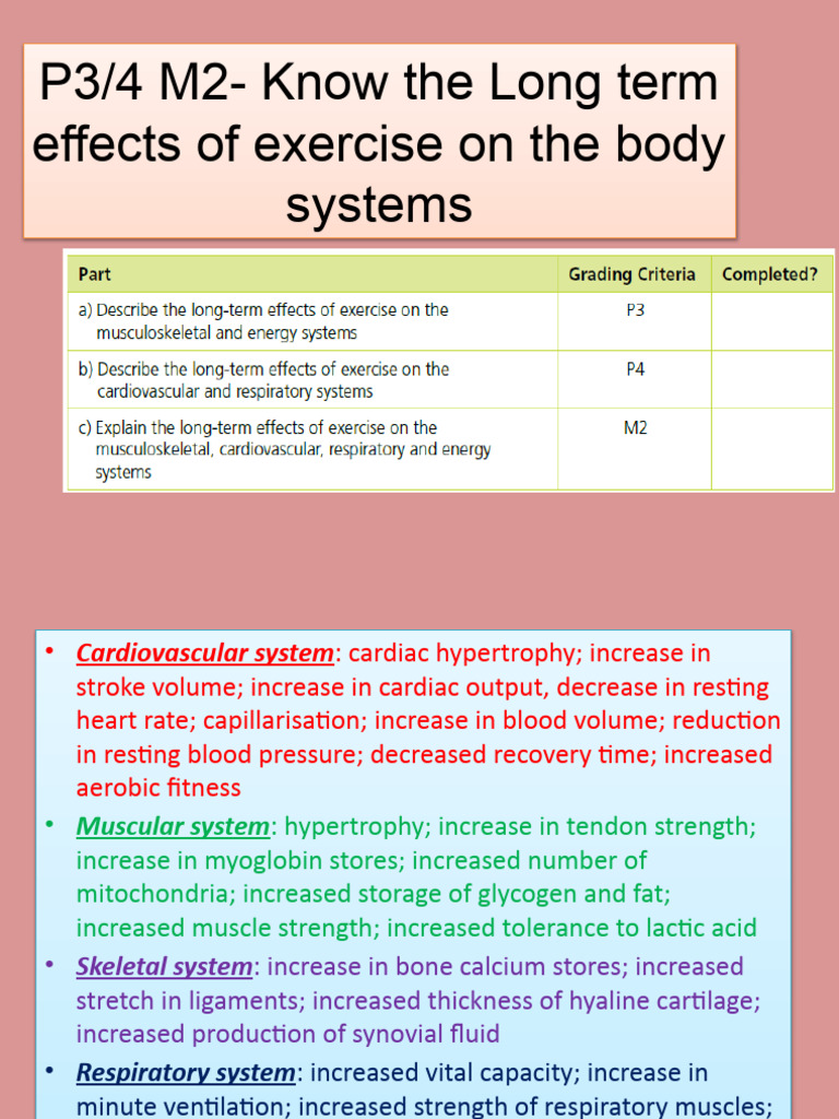 Long Term Effects of Exercise On Musculoskeletal System | PDF ...